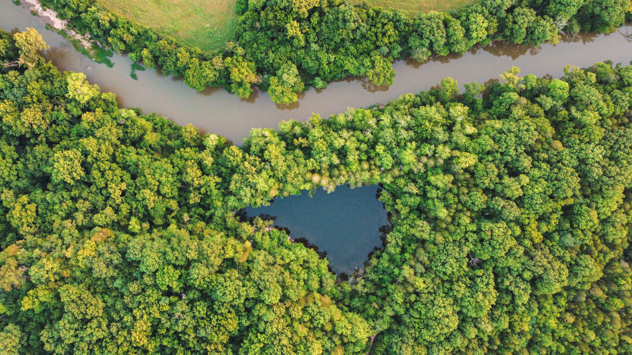 Bellevue, Tennessee – Discovering, Showcasing, and Recommending our ...