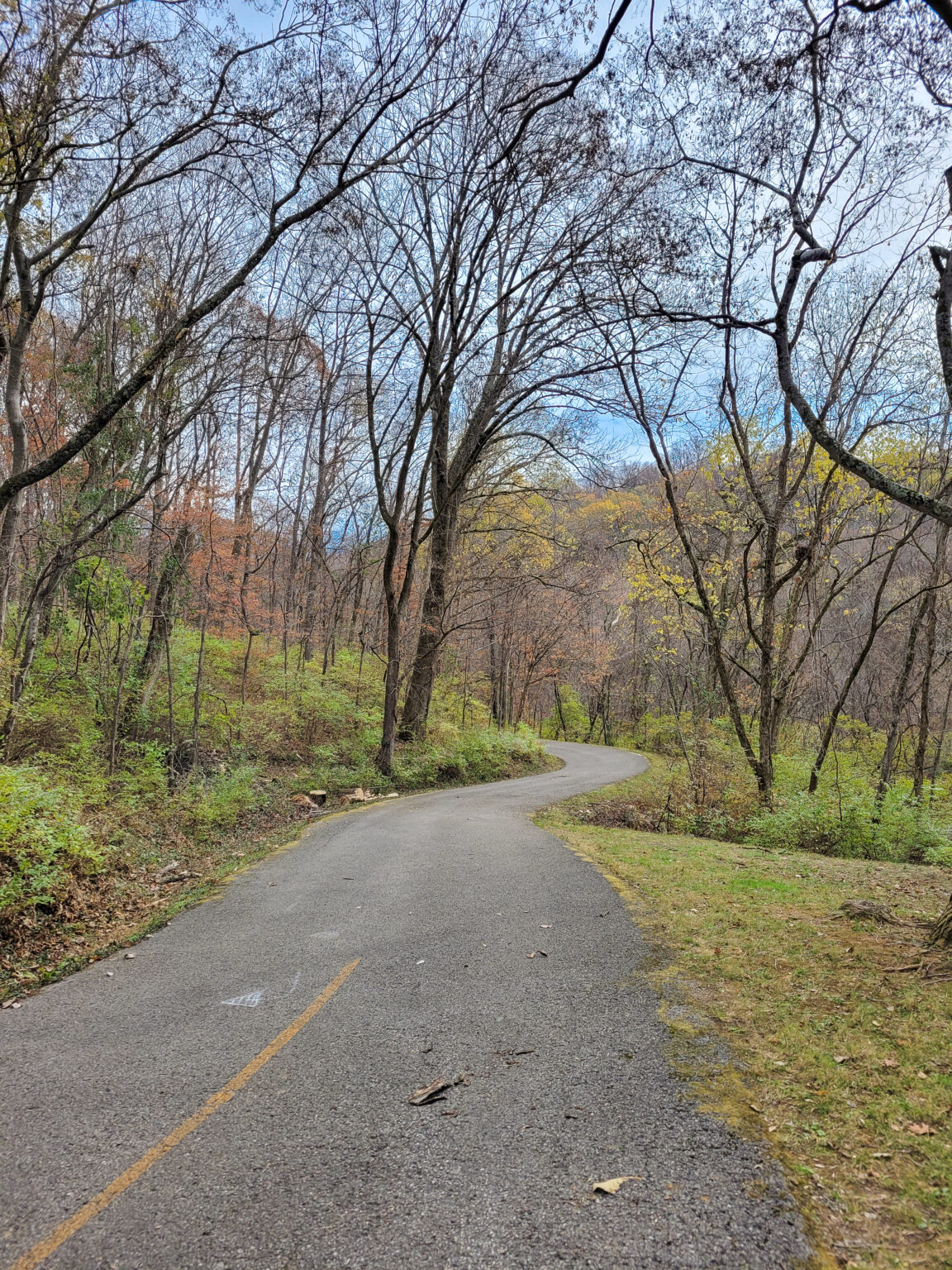 Percy Warner – 5 Rock Solid Hotspots in the Park + Complete Guide to Parking Staircase Trails ...