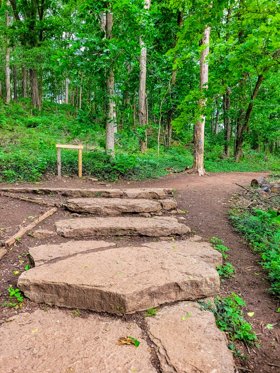 Percy Warner – 5 Rock Solid Hotspots in the Park + Complete Guide to ...
